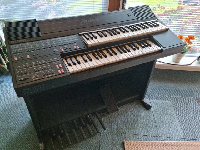 ORGEL FARFISA - TS Series Midi Digital- sehr gut erhalten, kaum bespielt EUR 100,00 - PicClick DE